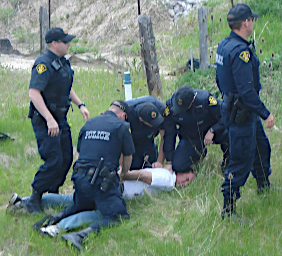 Canadian flag a symbol of protest or conformity